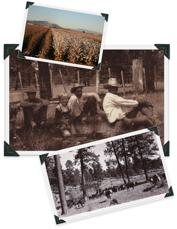 Arizona Farm & Ranch Hall of Fame — Arizona Farm and Ranch Museum ...
