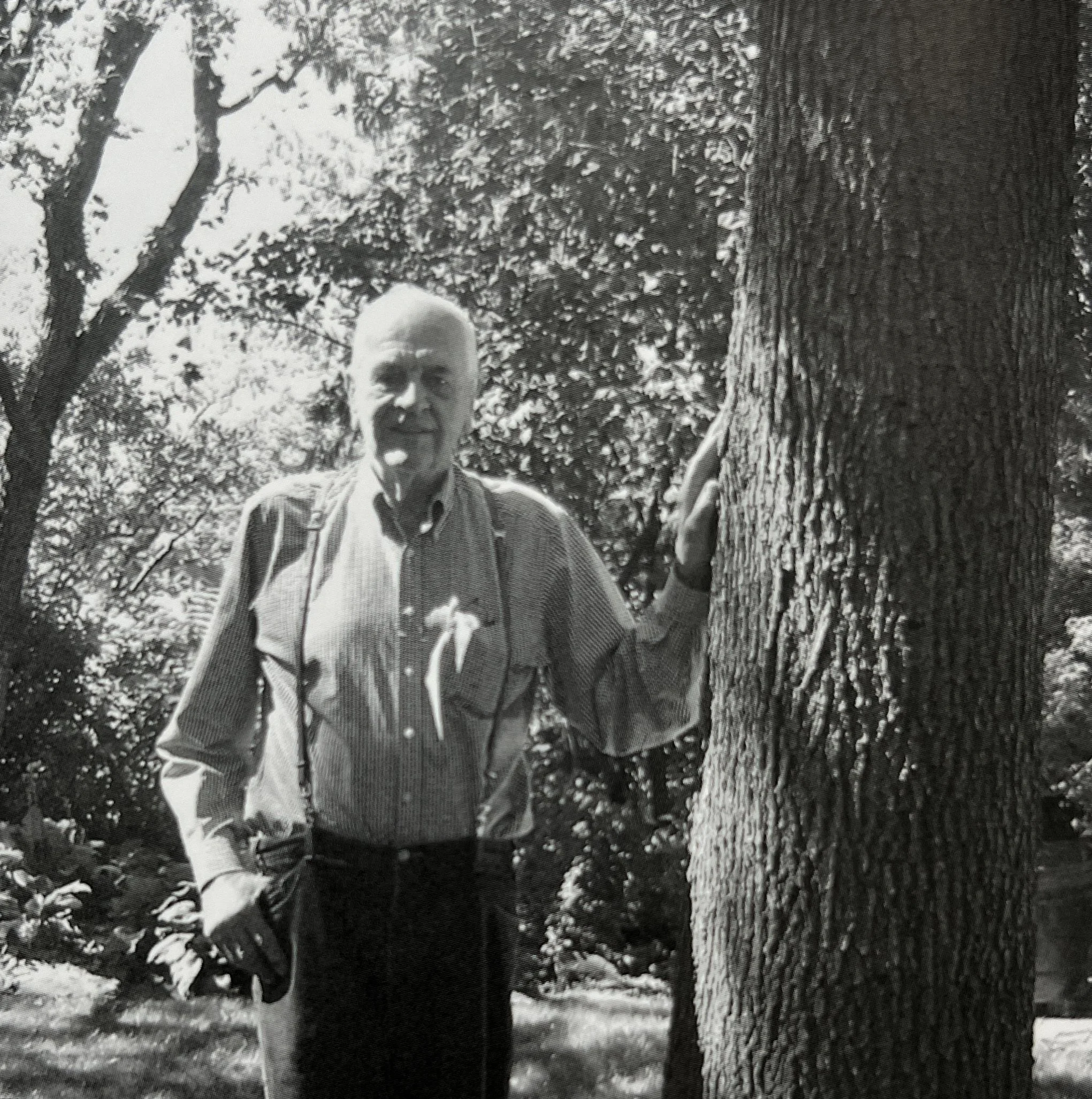 John Hays — Arizona Farm and Ranch Museum & Hall of Fame