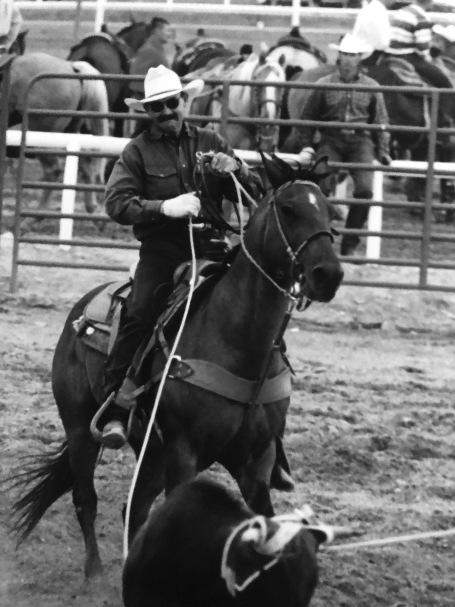 Don & Lynn Kimble — Arizona Farm and Ranch Museum & Hall of Fame
