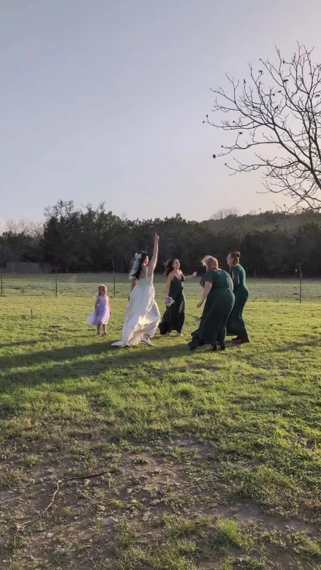 Highland Cow Photoshoots | Unique Portrait Sessions with Highland Cows ...