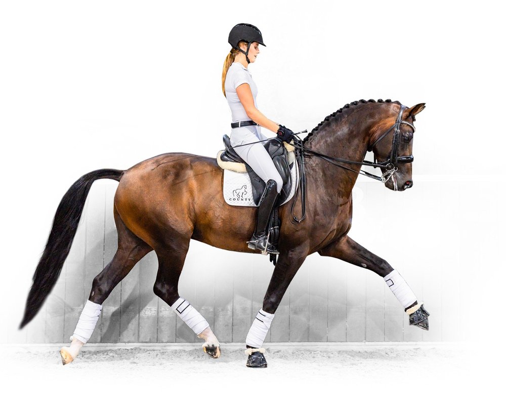 KJK Equestrian
