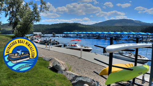 Beeracuda Boat Rentals