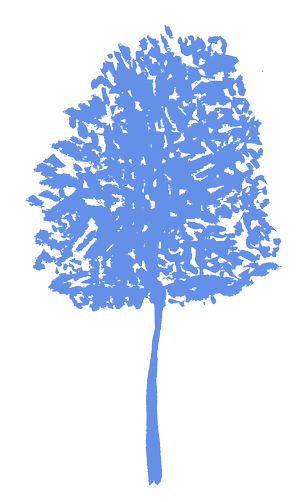 How To Choose a Tree | Street Trees for Living