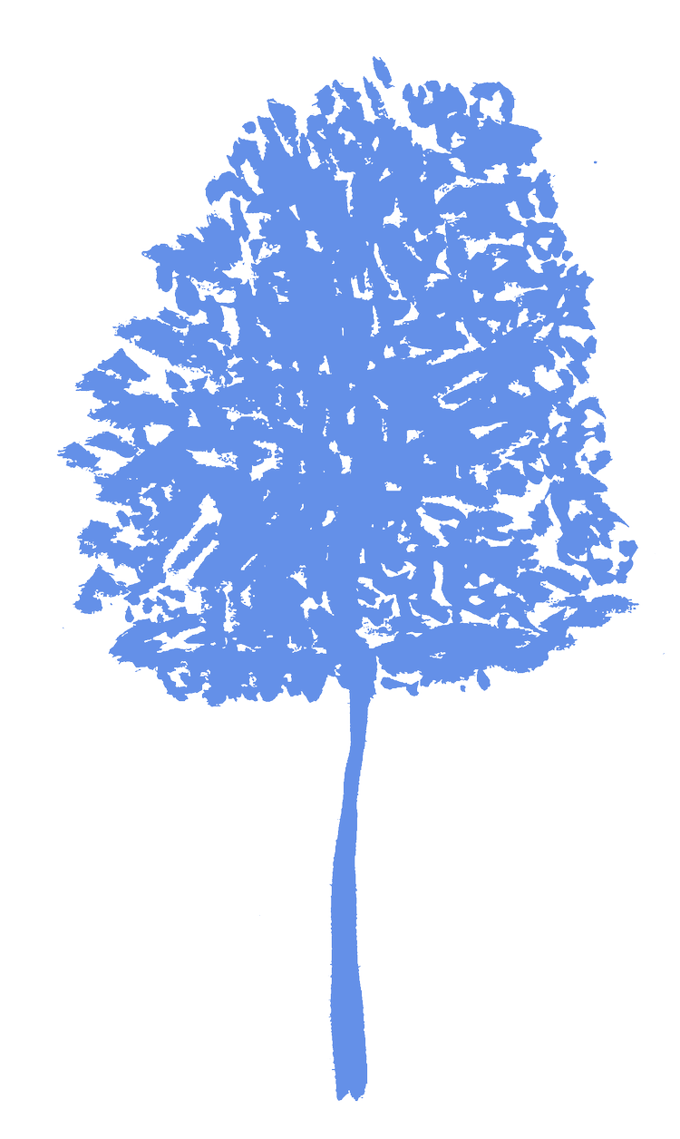 How To Choose a Tree | Street Trees for Living