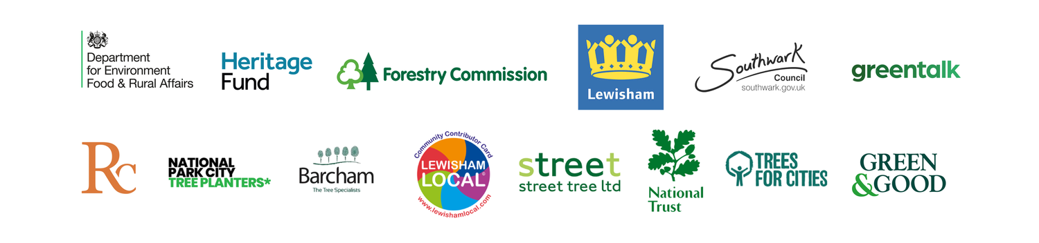 How To Choose a Tree | Street Trees for Living