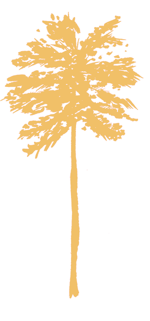 How To Choose a Tree | Street Trees for Living