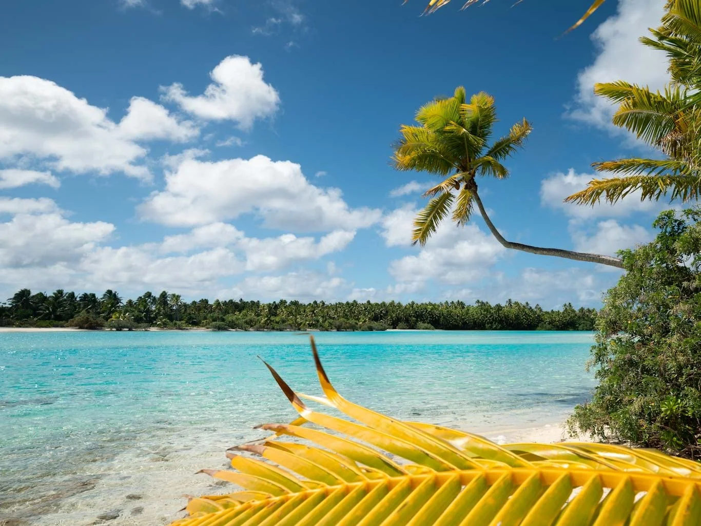 Explore Aitutaki's Best Beaches — A Beach Creature