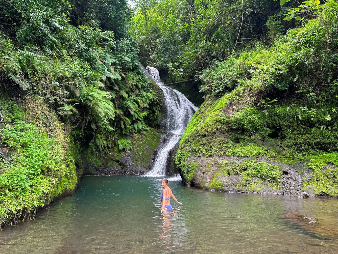 Rarotonga Travel Guide: The Ultimate Island Escape — A Beach Creature