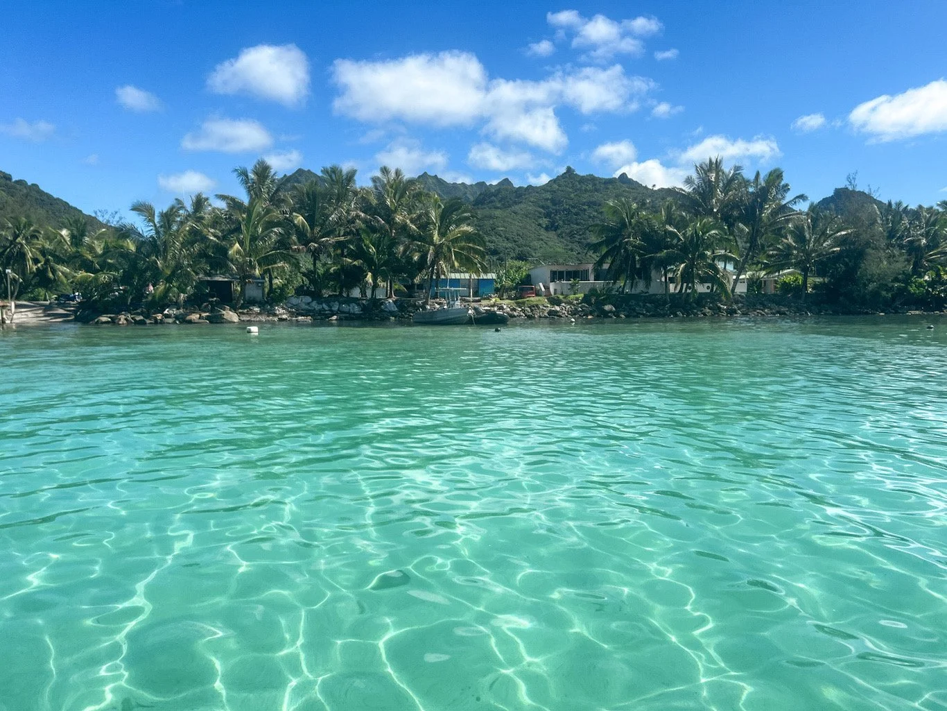 Rarotonga Travel Guide: The Ultimate Island Escape — A Beach Creature