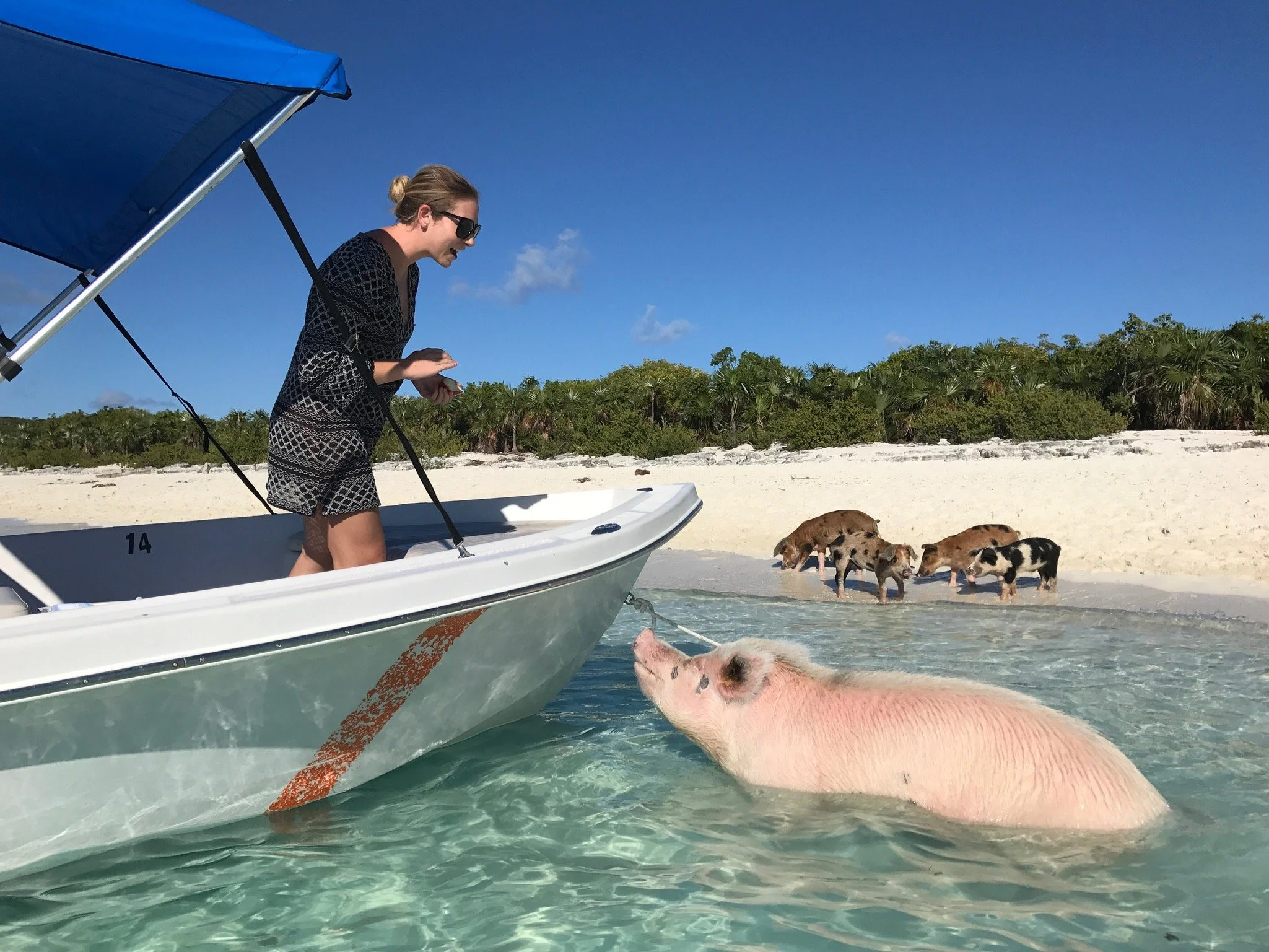 Island Hopping in the Exumas: Staniel Cay Yacht Club — A Beach Creature
