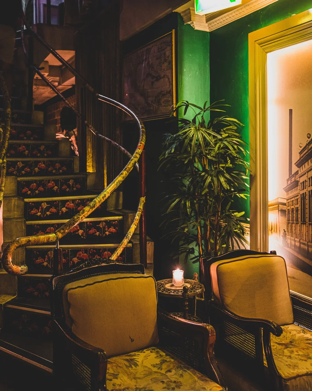 Bookings — The Lobo