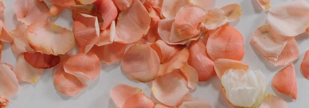 From Burnout to Breakthrough: 1:1 Life Coaching, Mindfulness & More ...