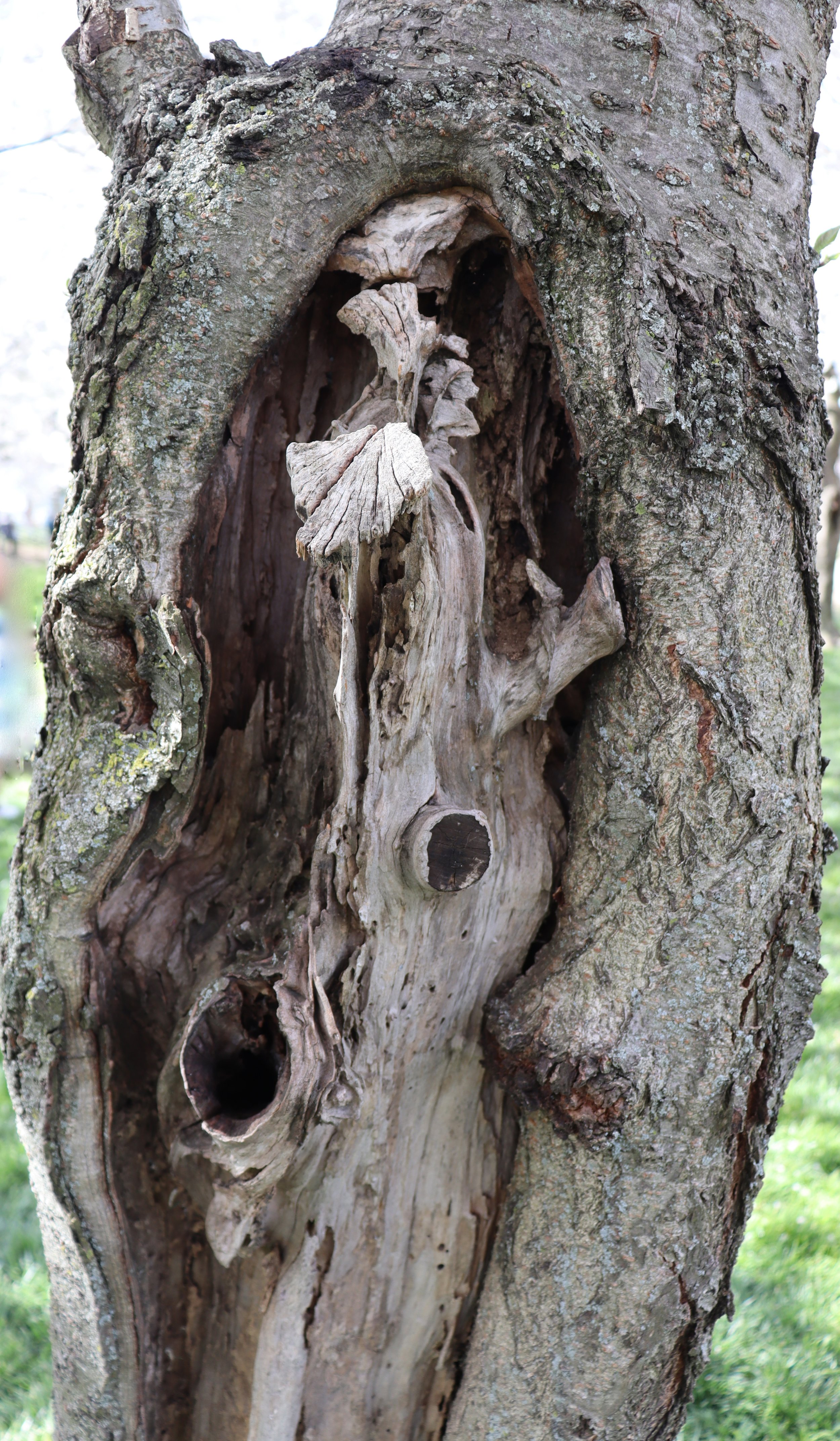 FPCC Club Contest April 2023 — Focal Point Camera Club