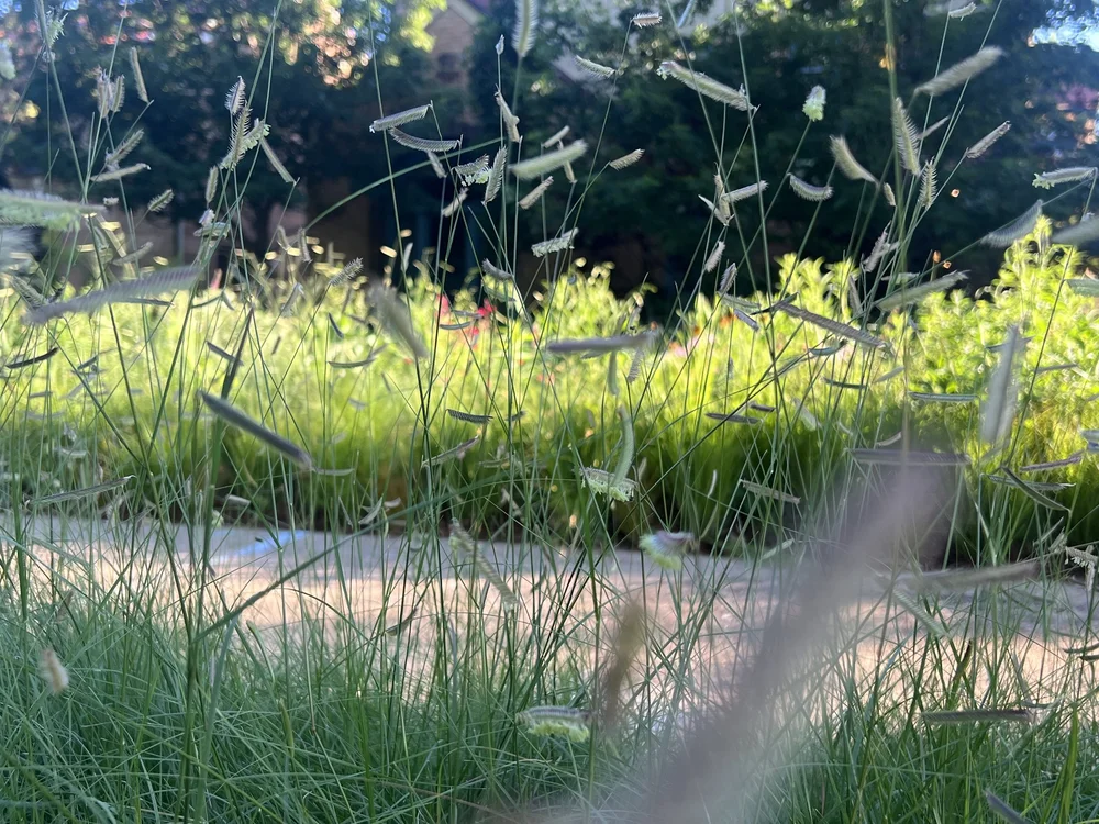 ONPN Citizens — Oklahoma Native Plant Network