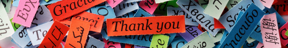 How to Use a Thank You Campaign to Raise More with Your TapKat ...