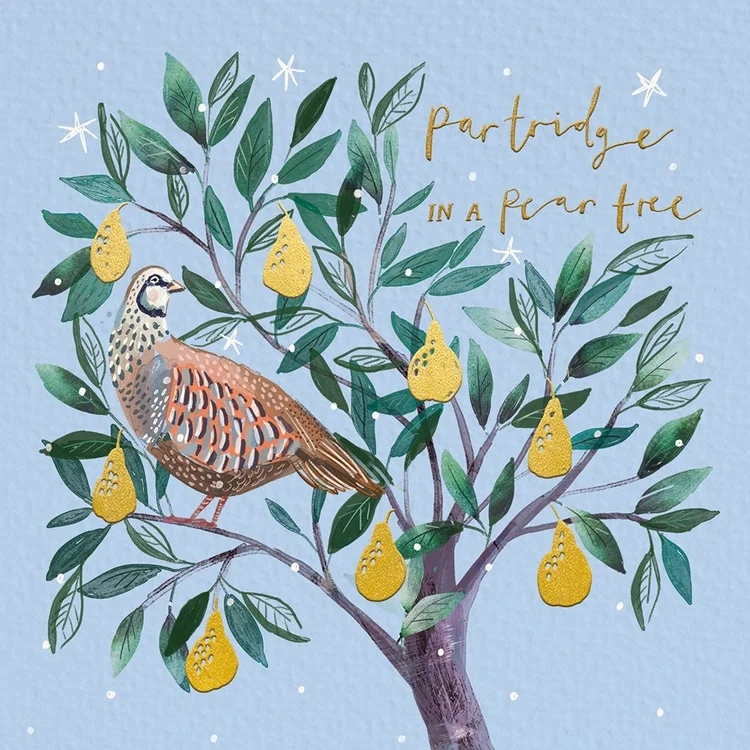 Christmas cards — TRAIDCRAFT