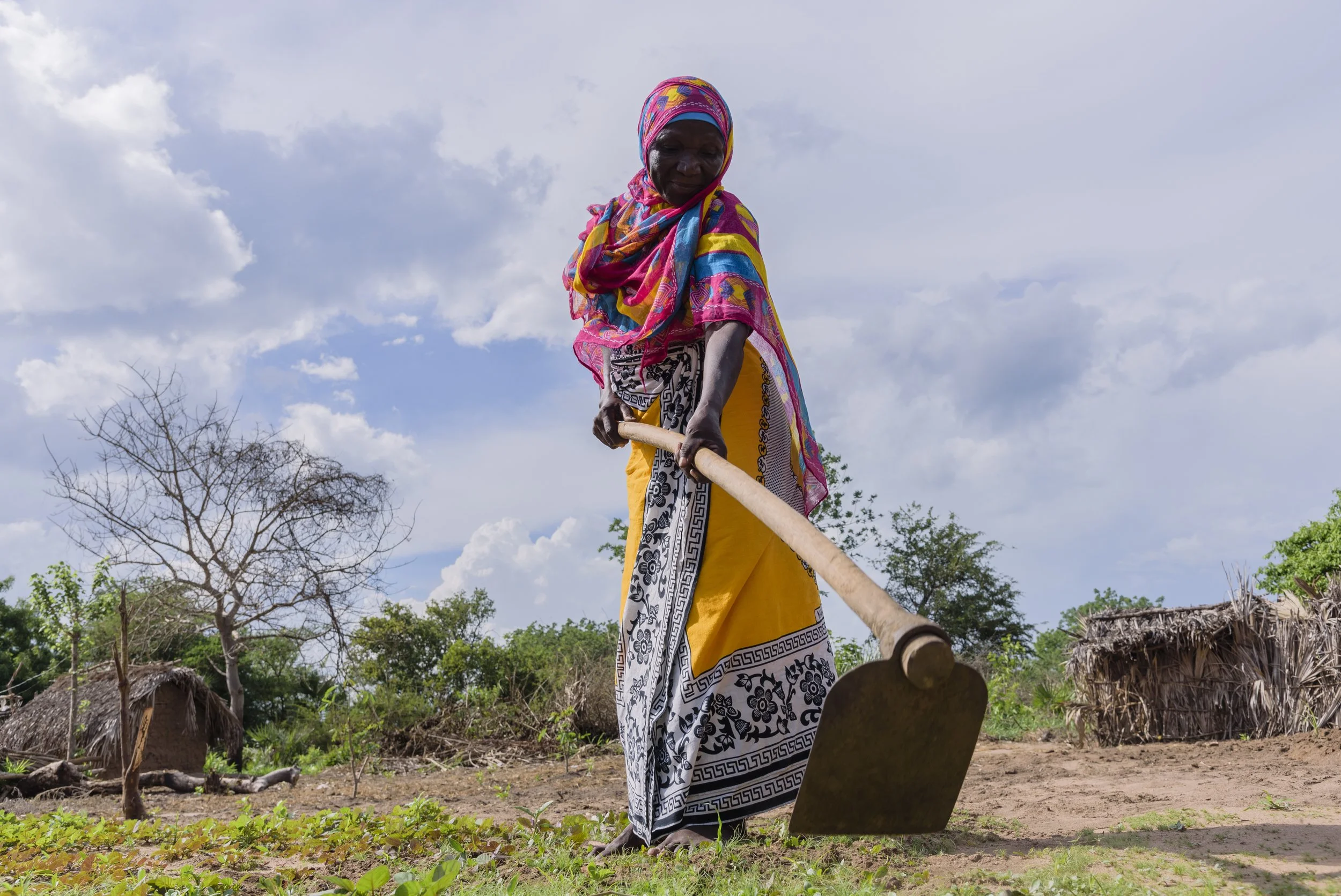 Traidcraft Loo Roll — TRAIDCRAFT