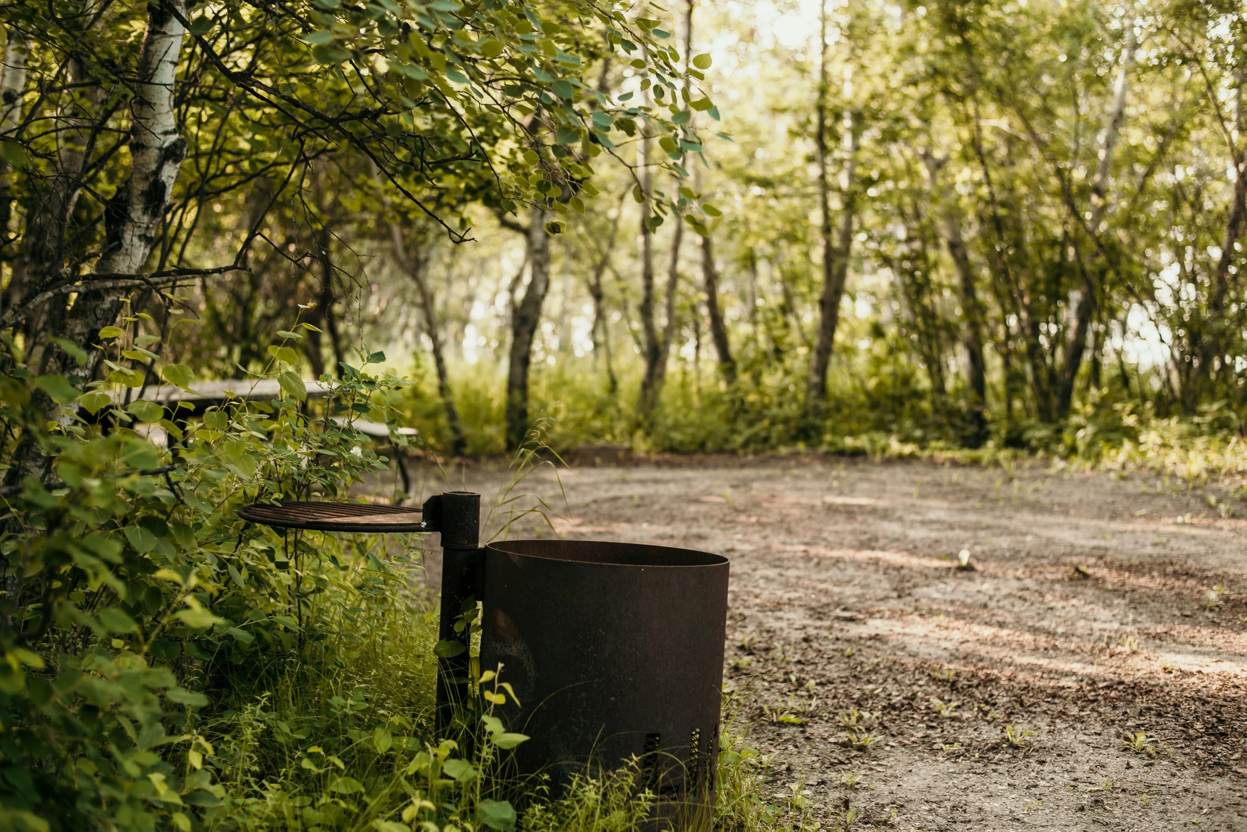 For Residents — Thrive in Lanigan
