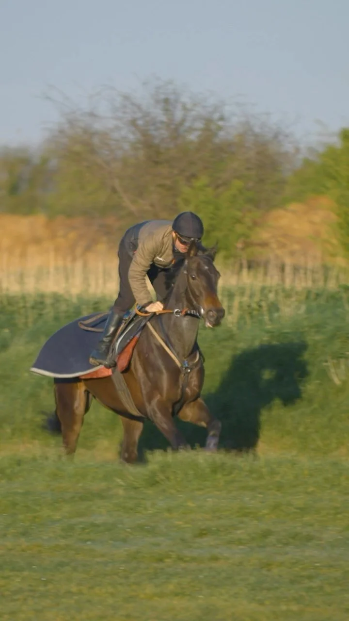 Media — Jack Channon Racing