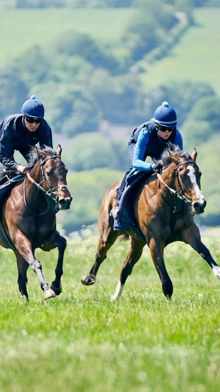 About JCR — Jack Channon Racing