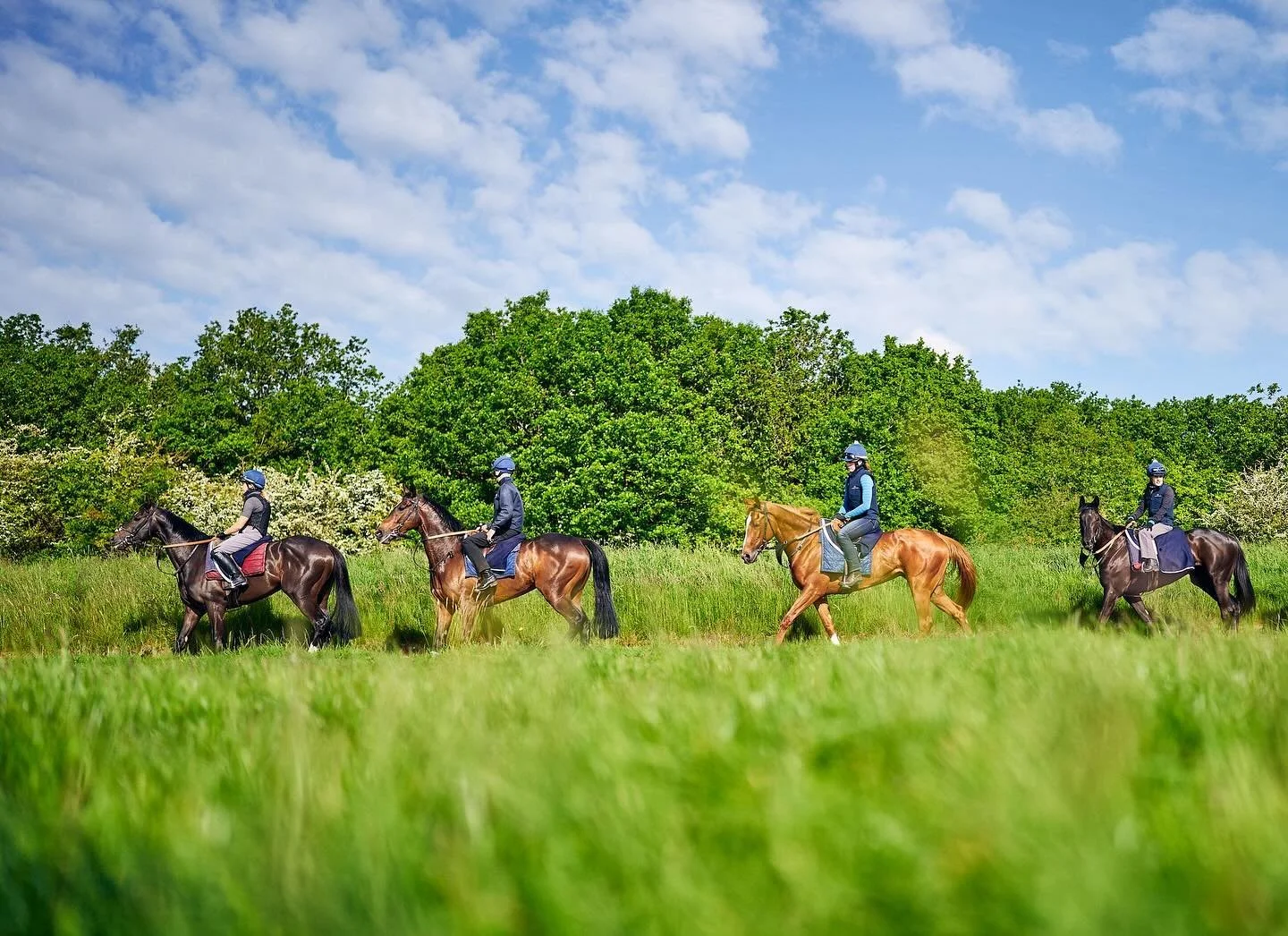 About JCR — Jack Channon Racing