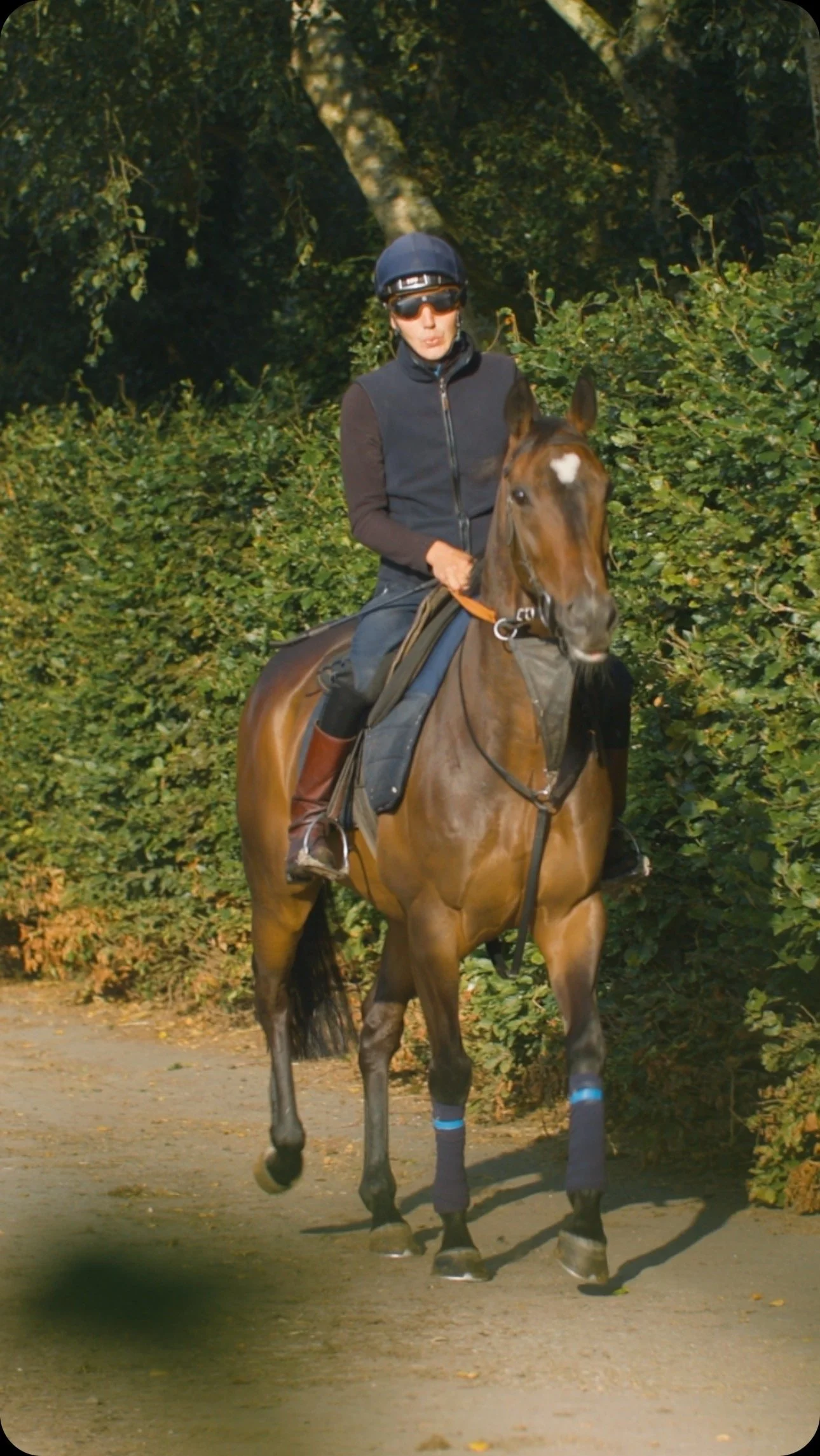 Media — Jack Channon Racing