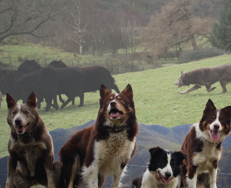 Cragg House Farm