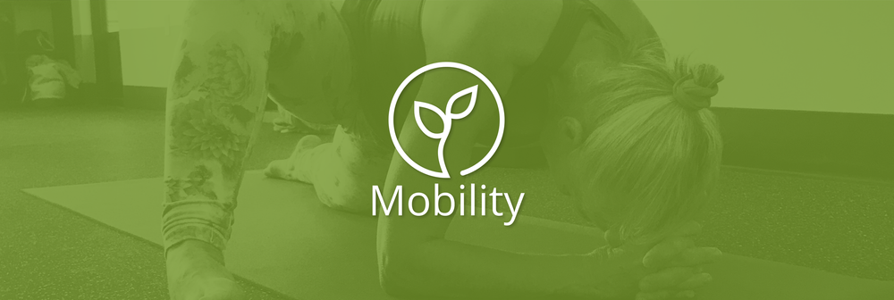 Mobility — Thrive Fitness