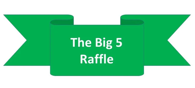 The Big Raffle is now The Big 5 Raffle! — Big Brothers Big Sisters of ...