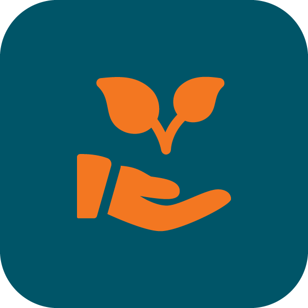 Insurance Growth Network