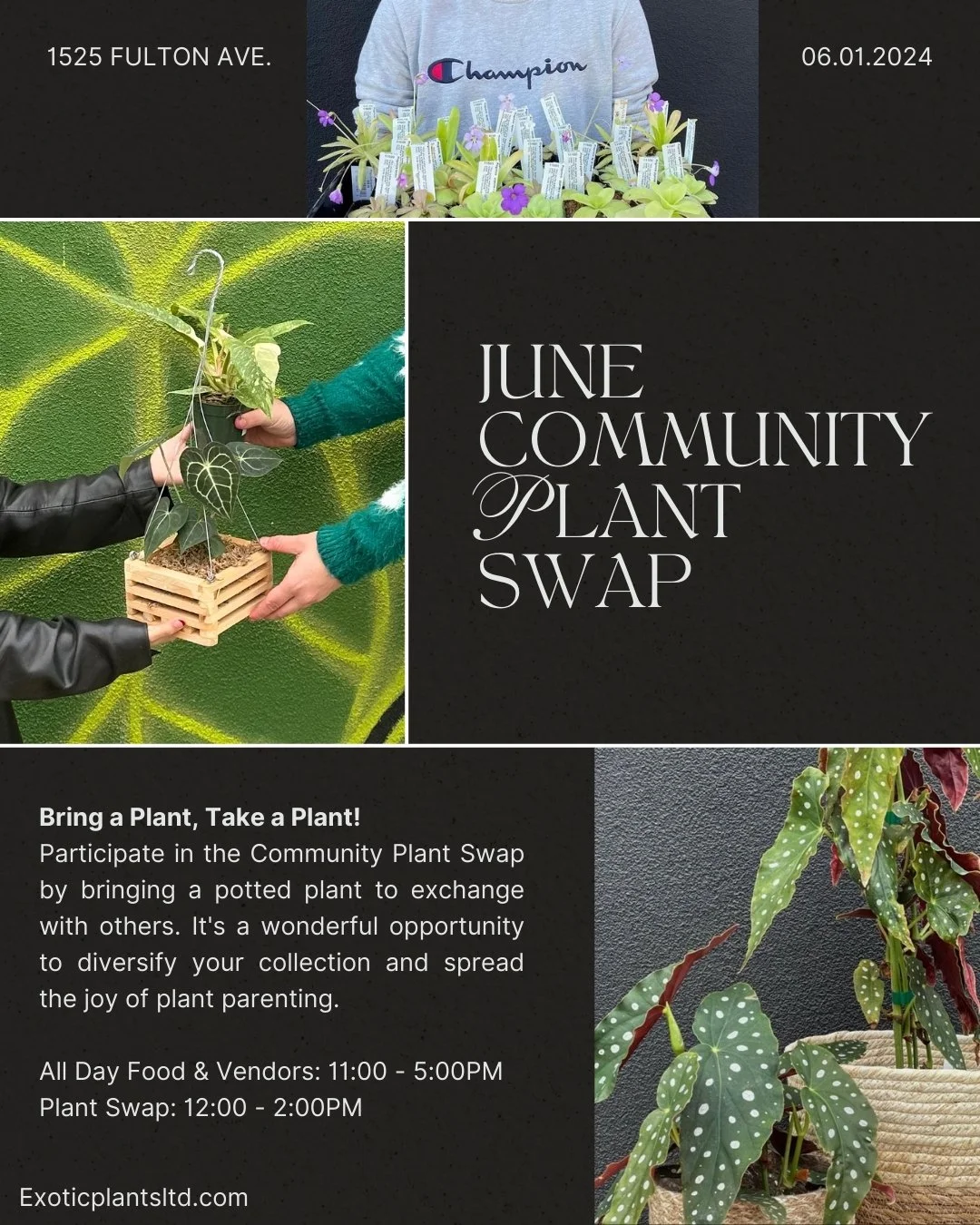 June Community Plant Swap — Exotic Plants