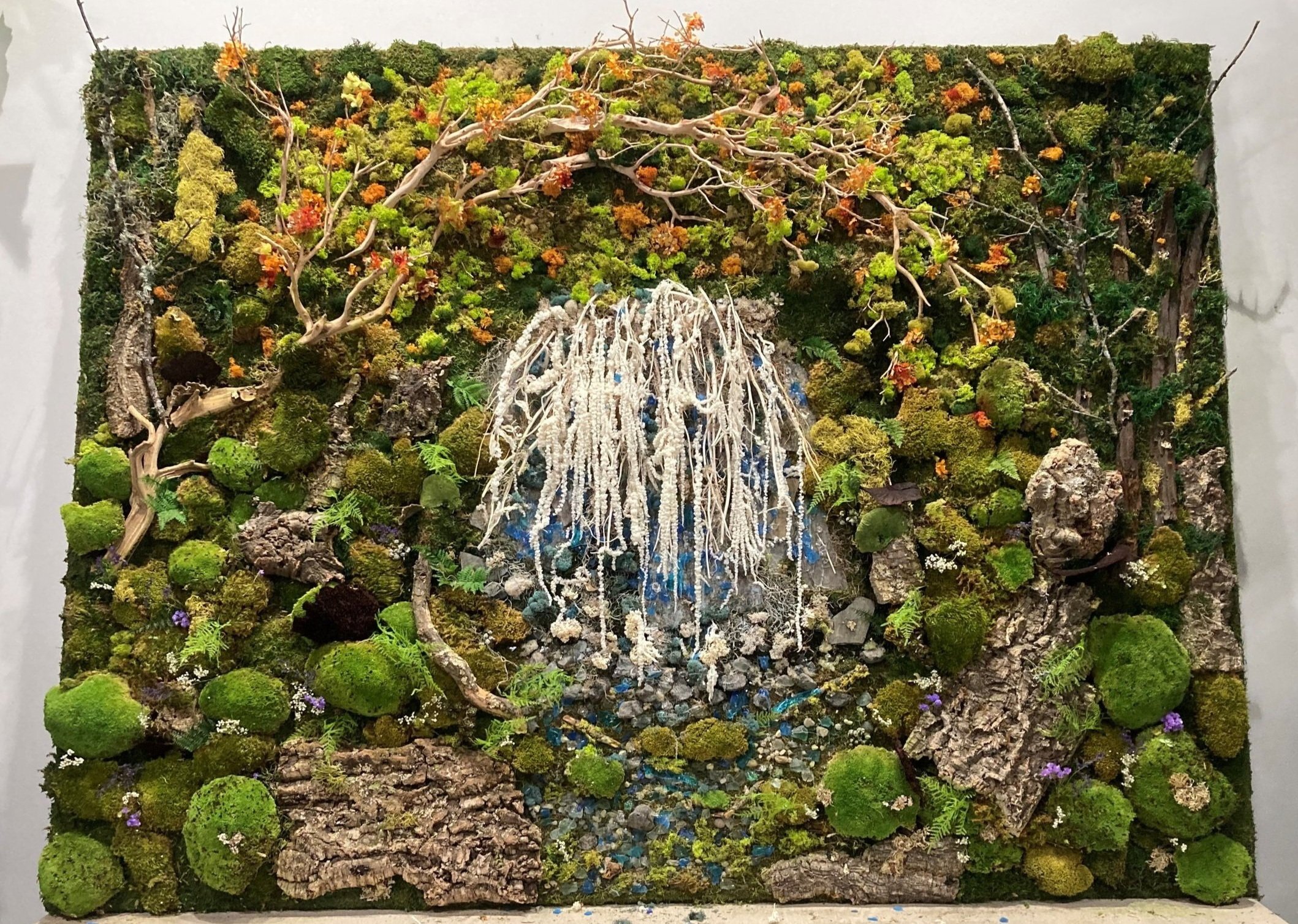 Moss Art — Exotic Plants