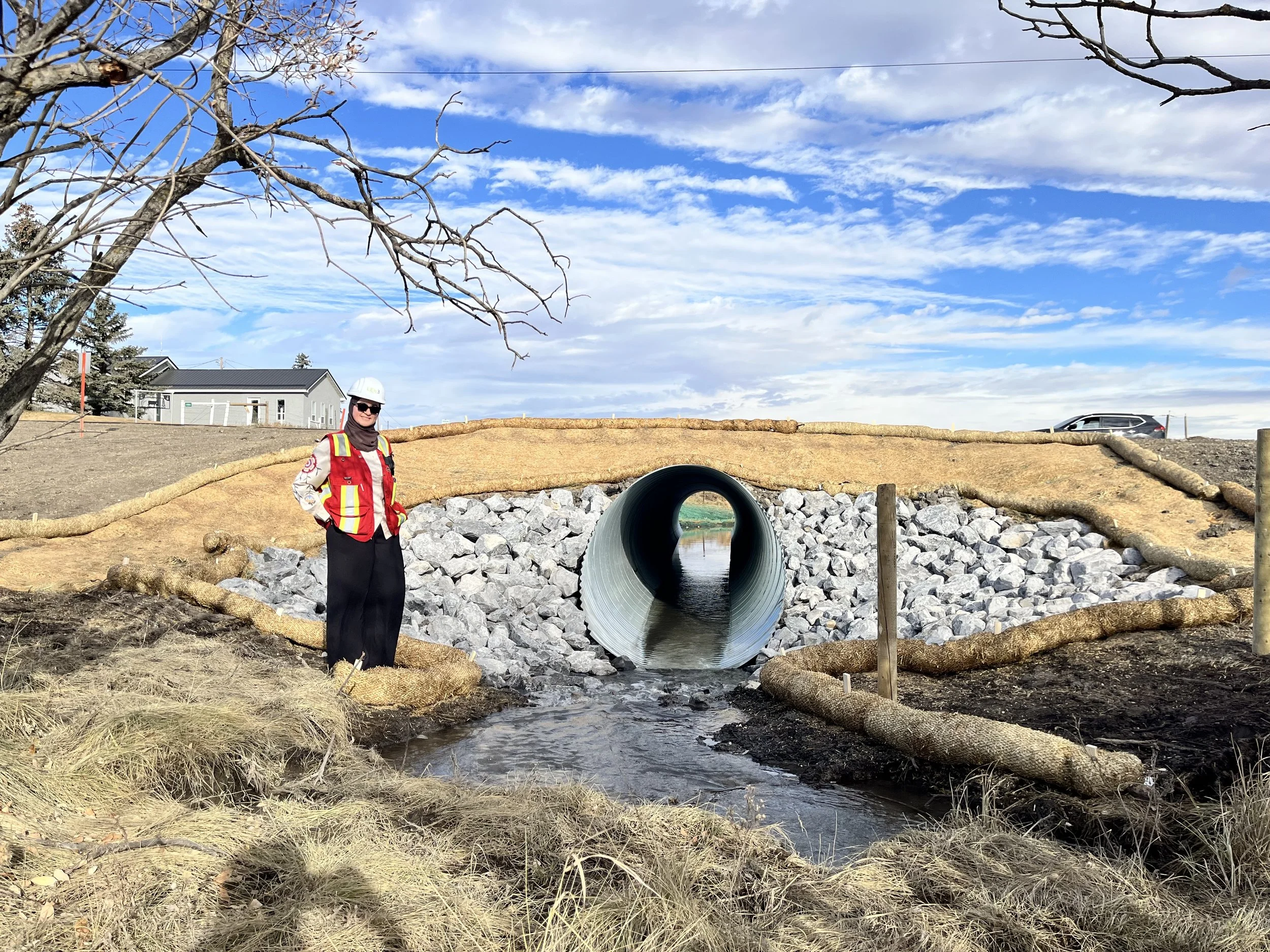 LEX3 Engineering | LEX3 Lately 5 — LEX3 Engineering