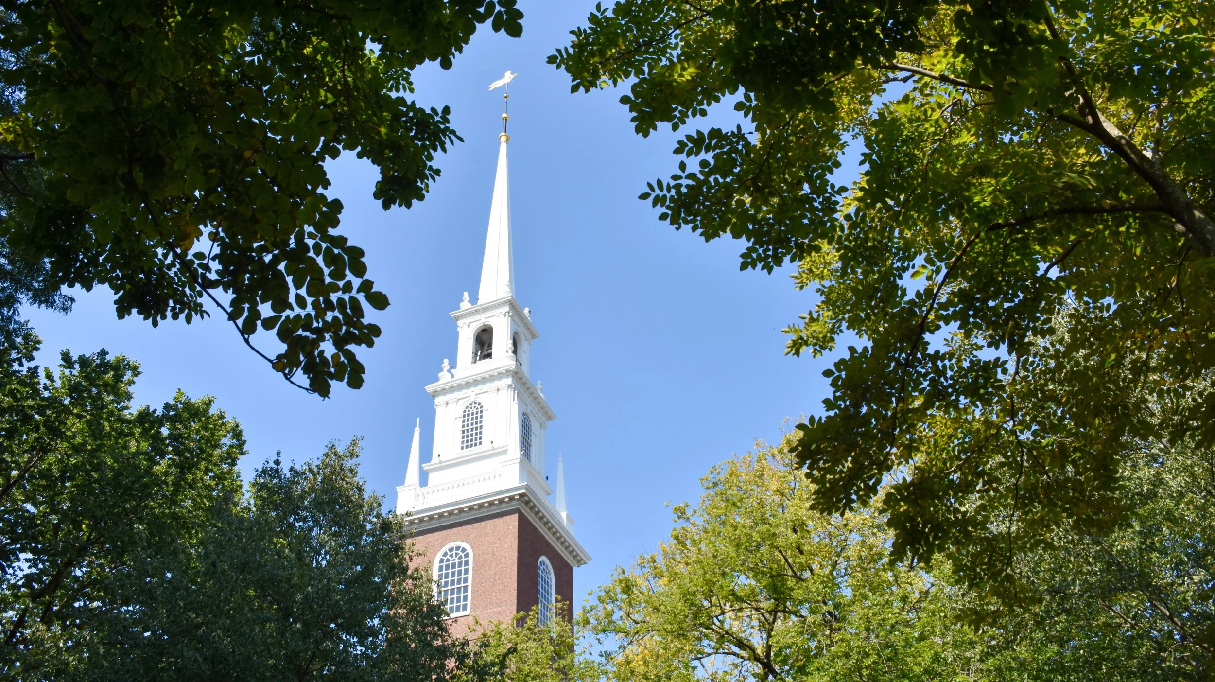 Harvard Yearbook