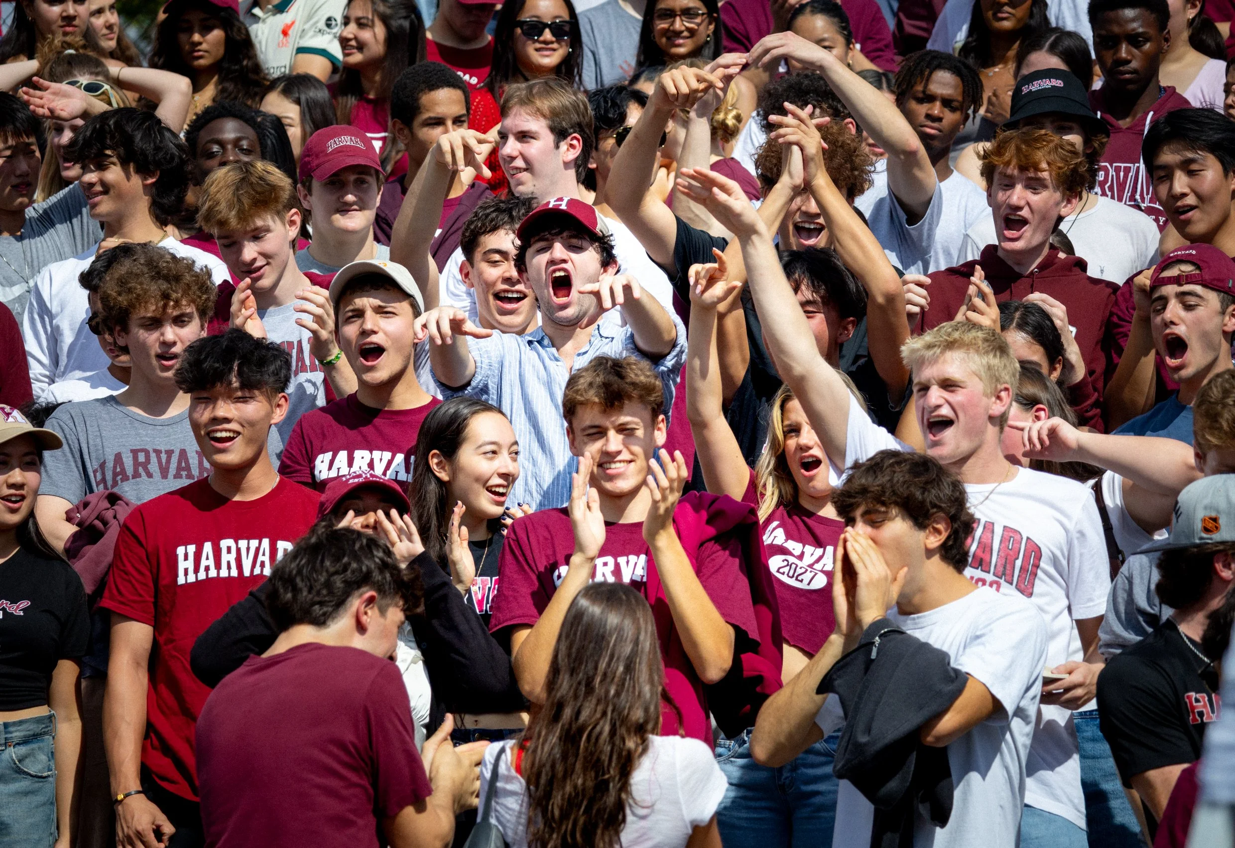 Harvard Yearbook