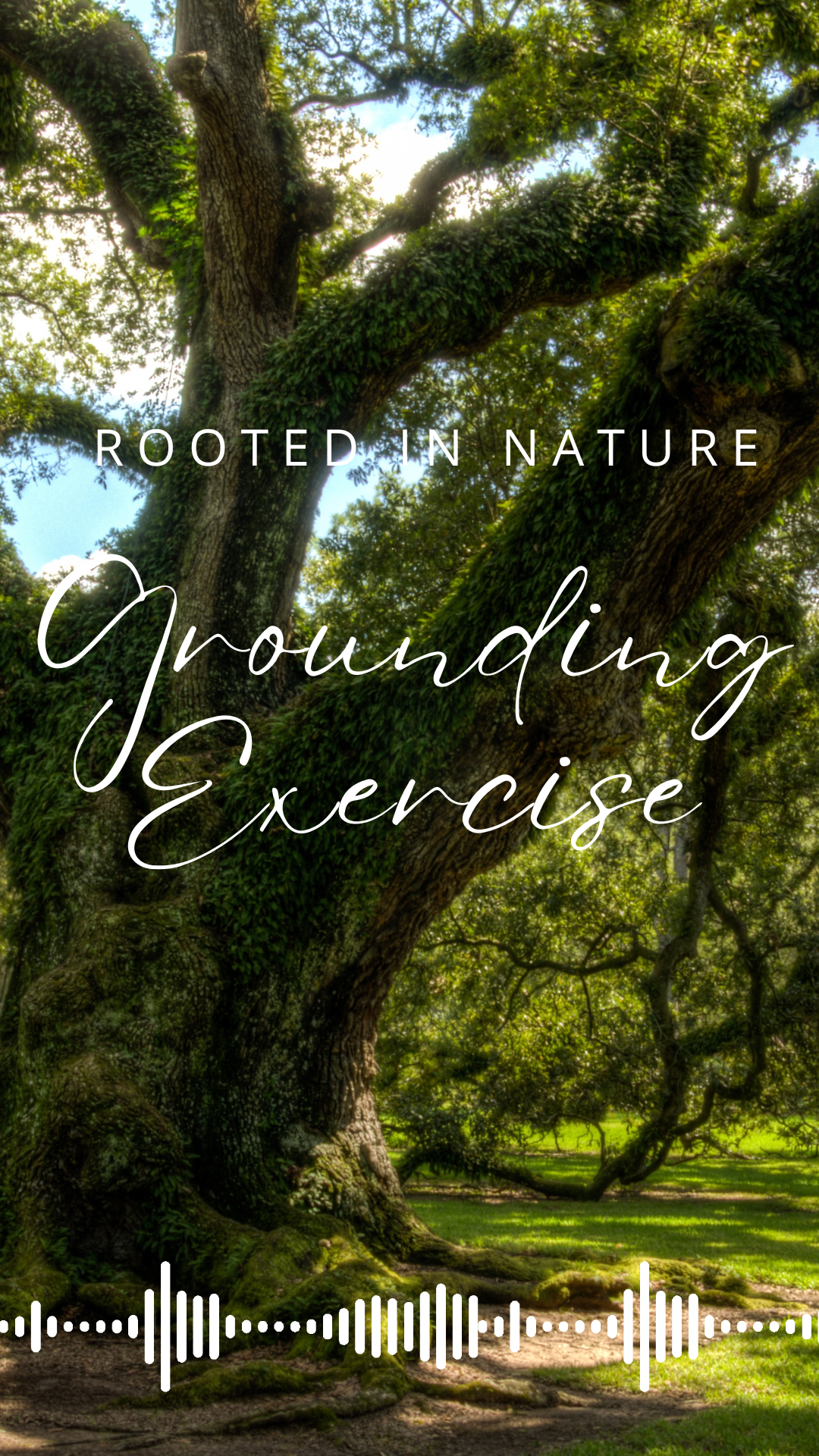 Free Self-Help Wellness Resources | Mindfulness & Stress Management ...