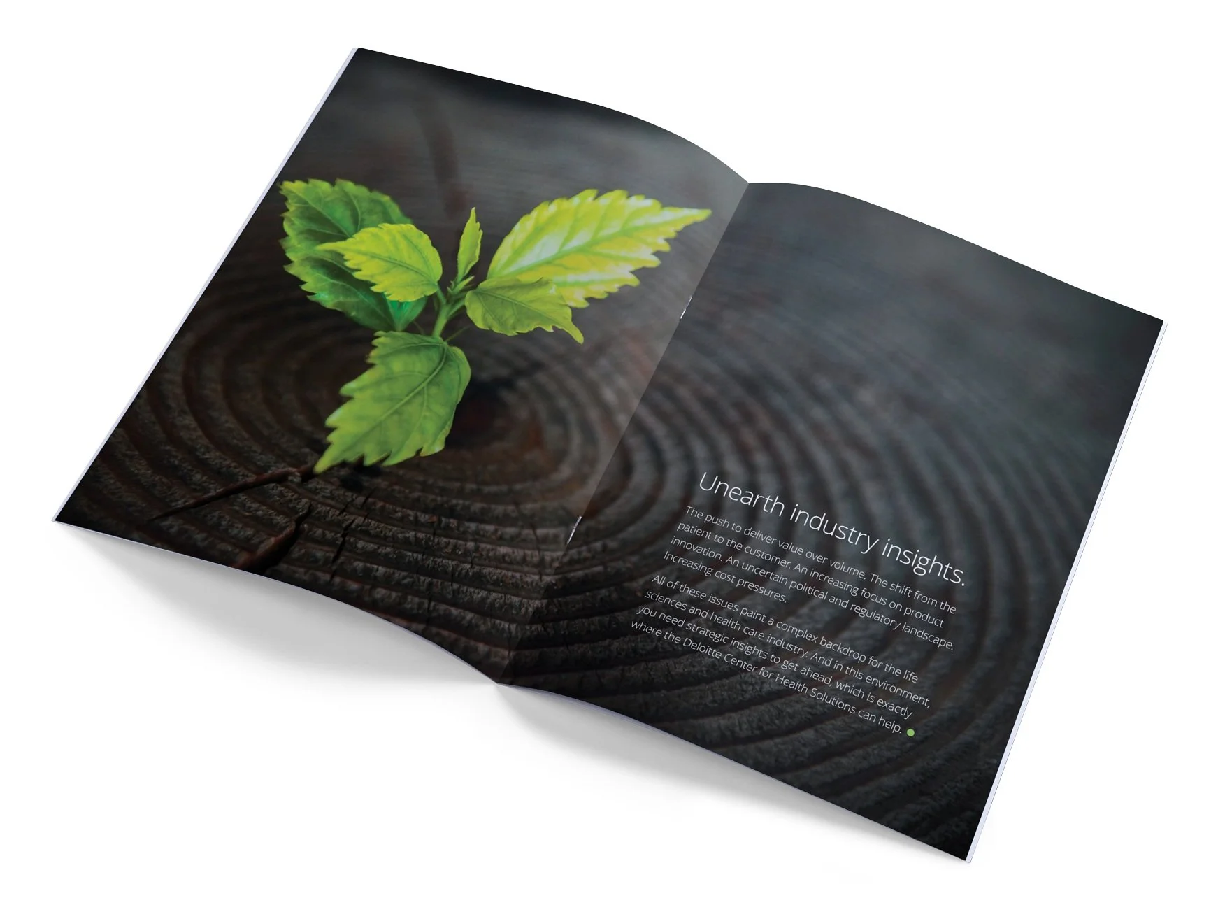 Deloitte Campaigns — SARAH POTTER