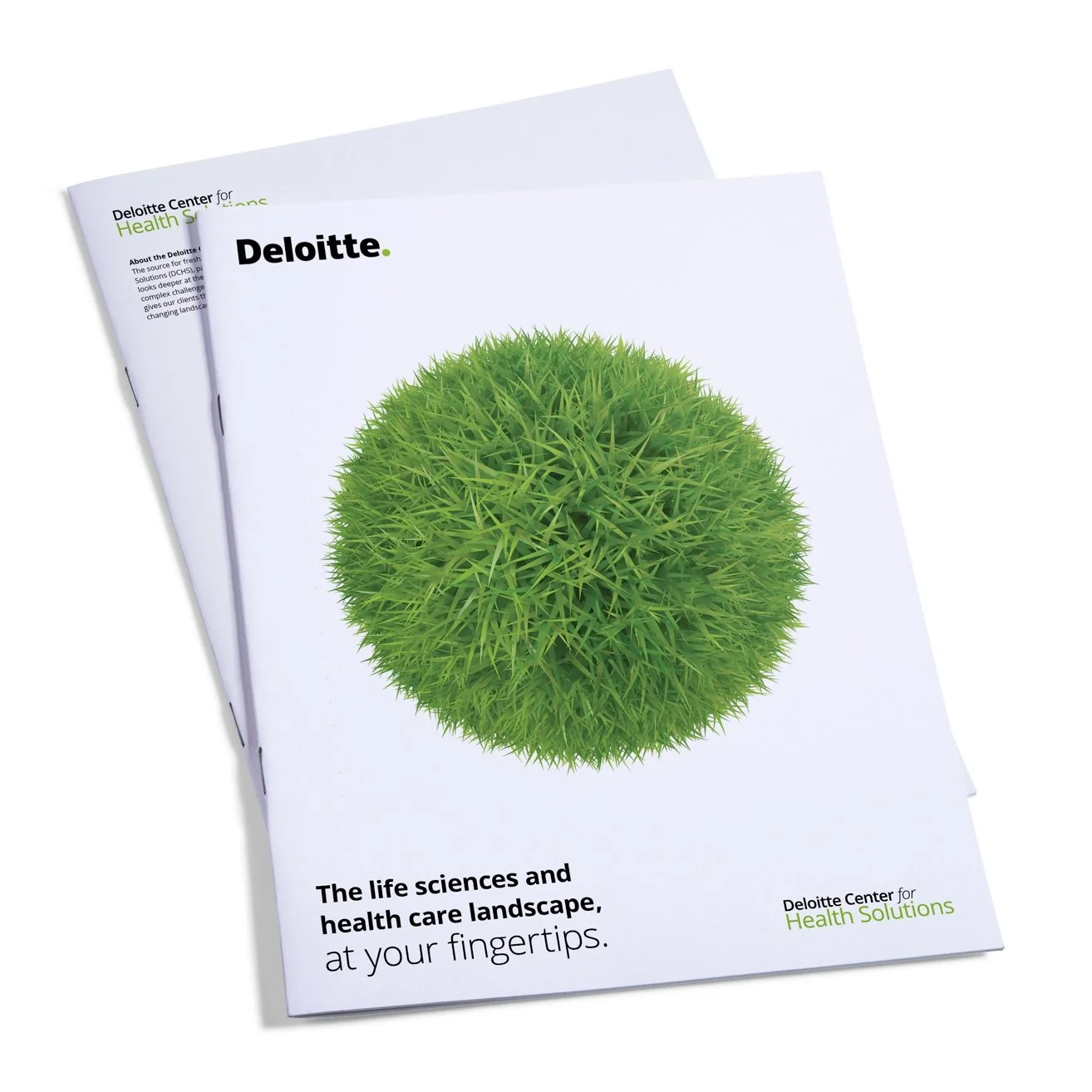 Deloitte Campaigns — SARAH POTTER