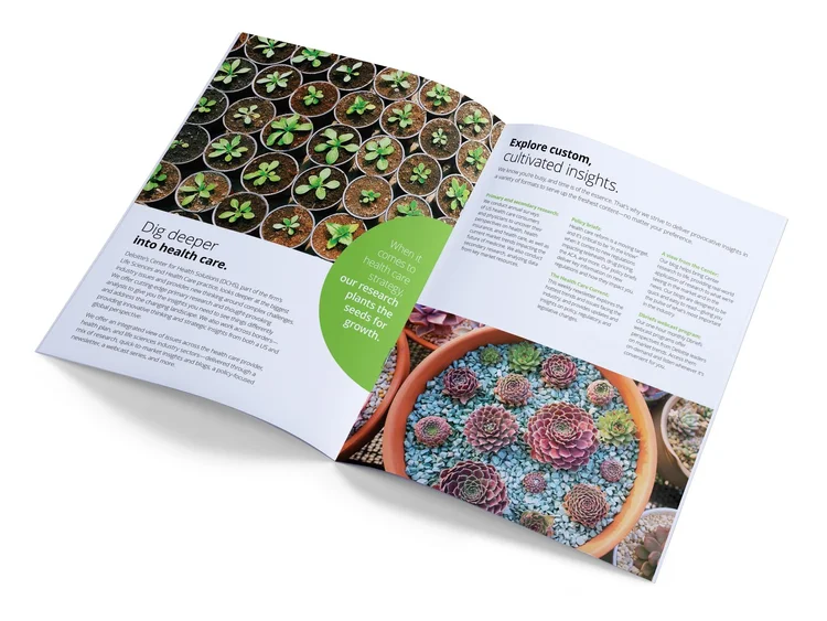 Deloitte Campaigns — SARAH POTTER