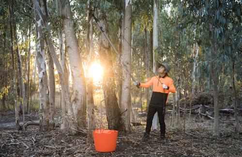 Environmental Management & Rehabilitation Services | Workpower