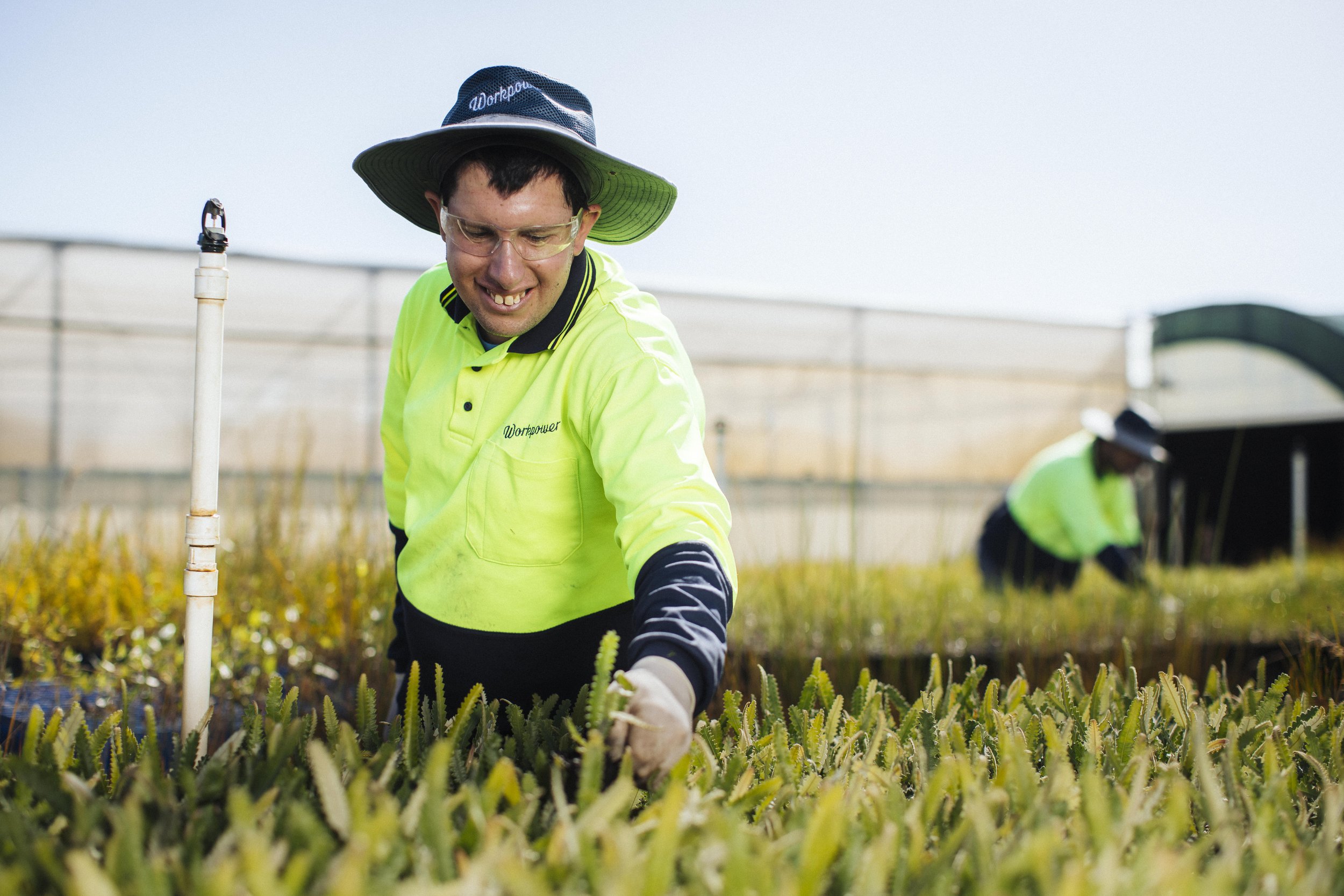 Disability Supported Employment Opportunities | Workpower