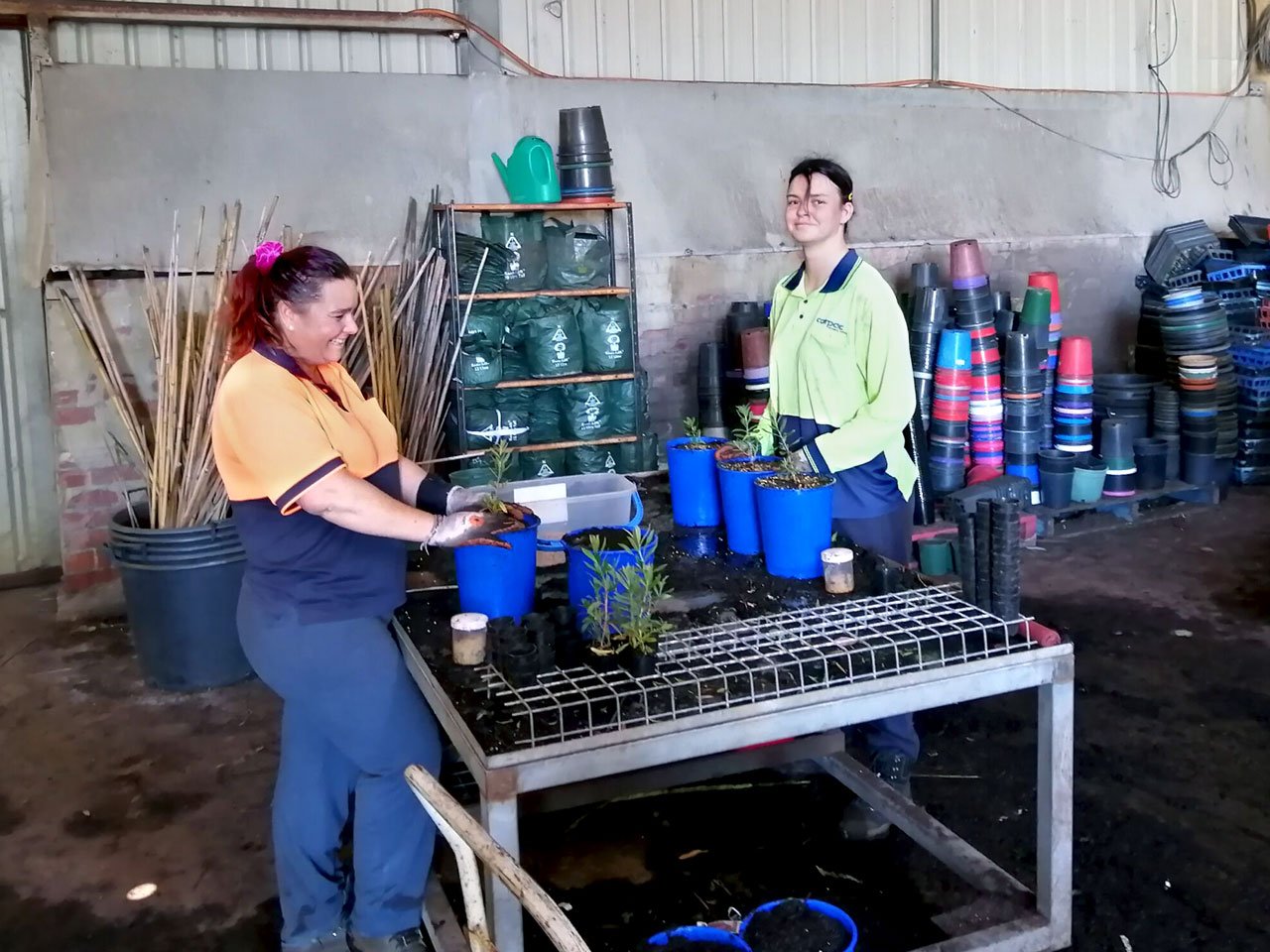 Disability Employment — Workpower