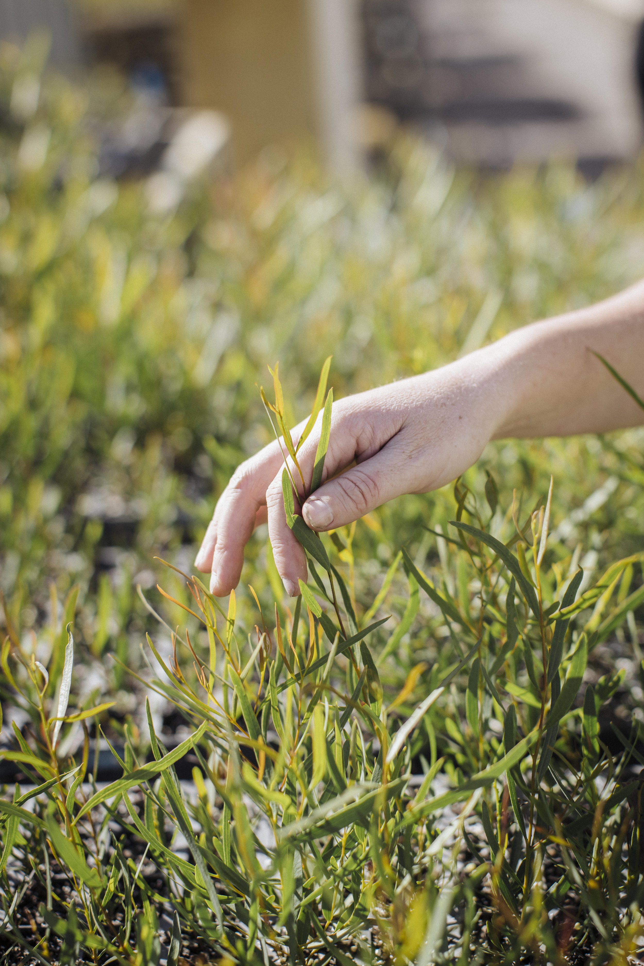 Environmental Management & Rehabilitation Services | Workpower