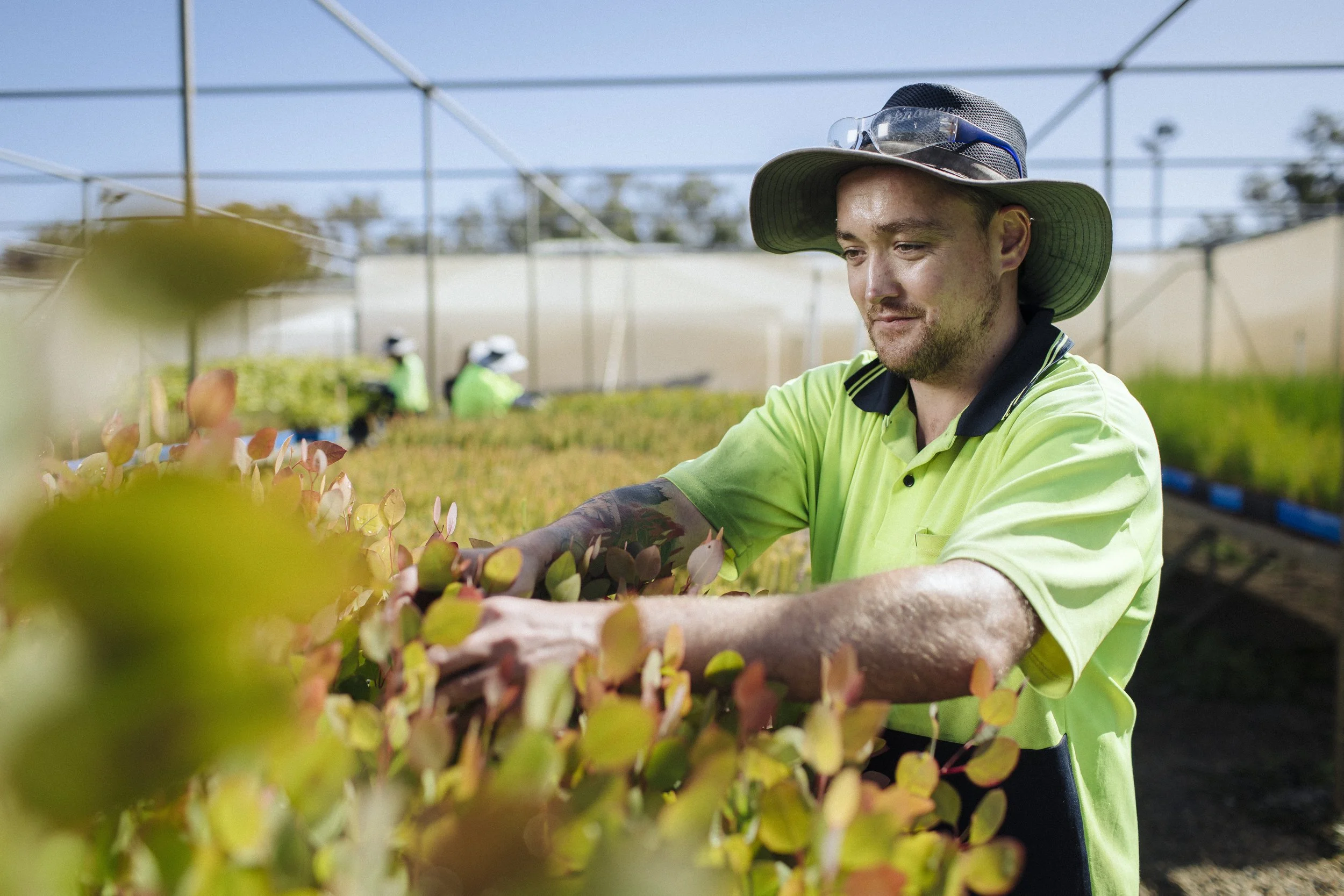 Disability Supported Employment Opportunities | Workpower