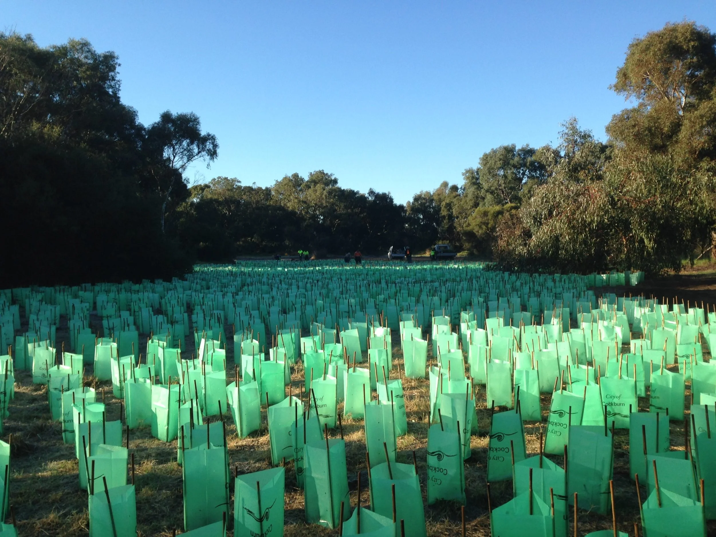 Environmental Services — Workpower