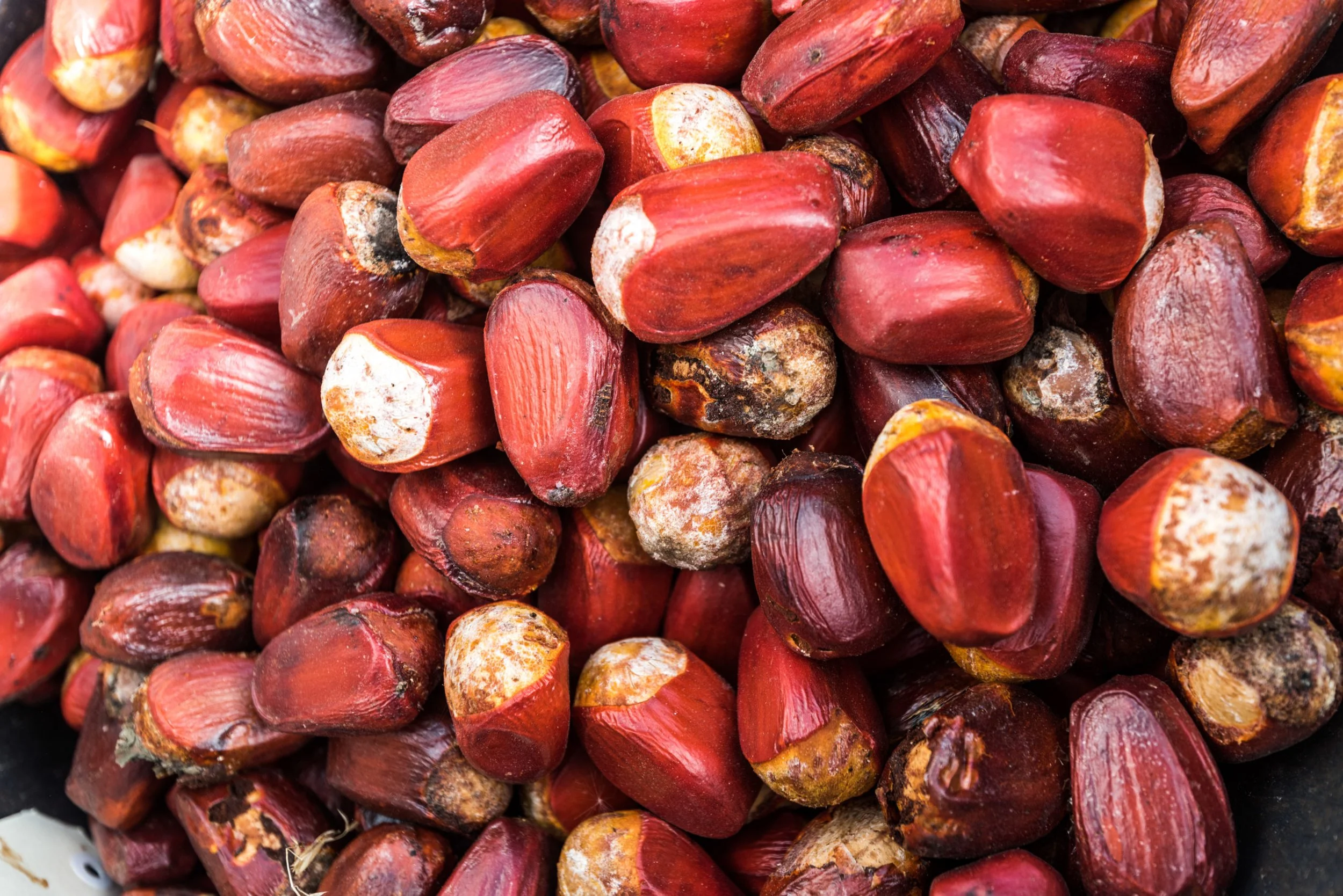 Environmental Services — Workpower