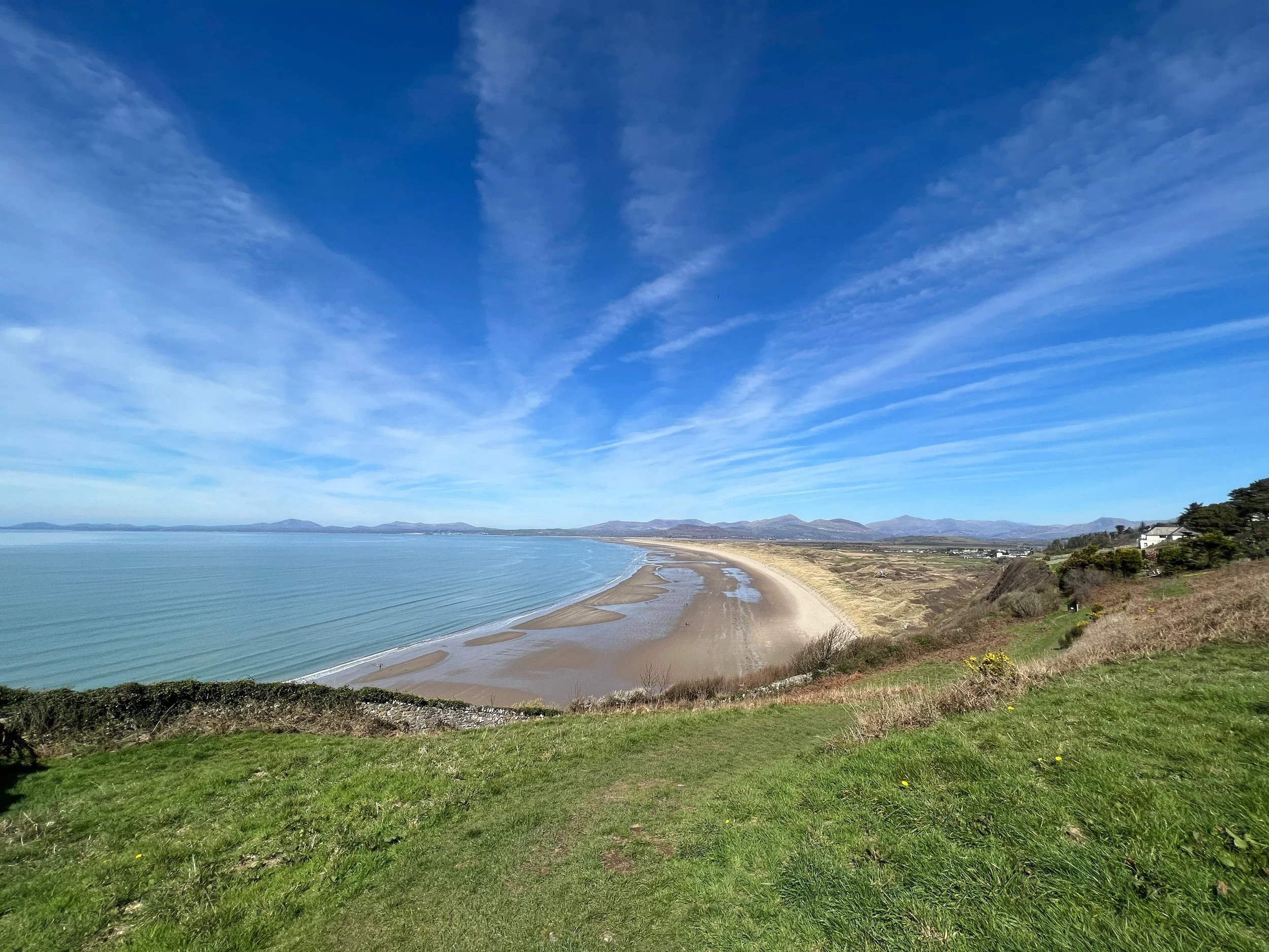 Our Area — Harlech House