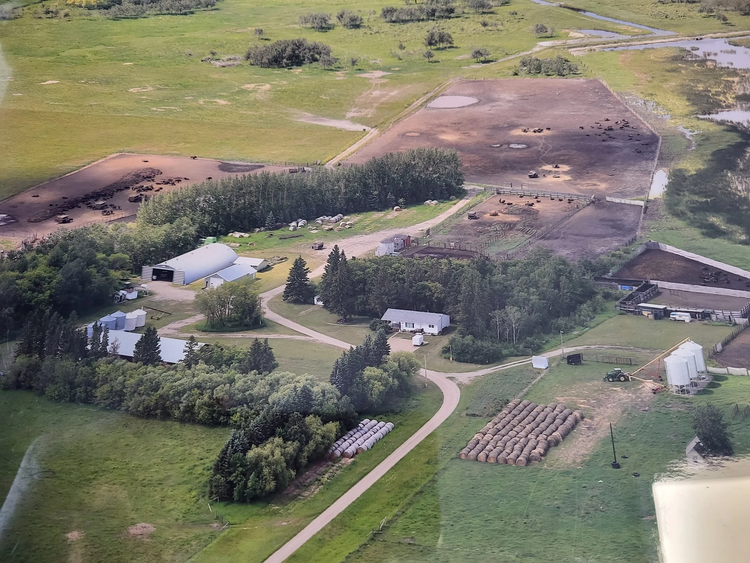 Explore The Story Ponass Lake Bison Ranch — HighPlainsBison.com