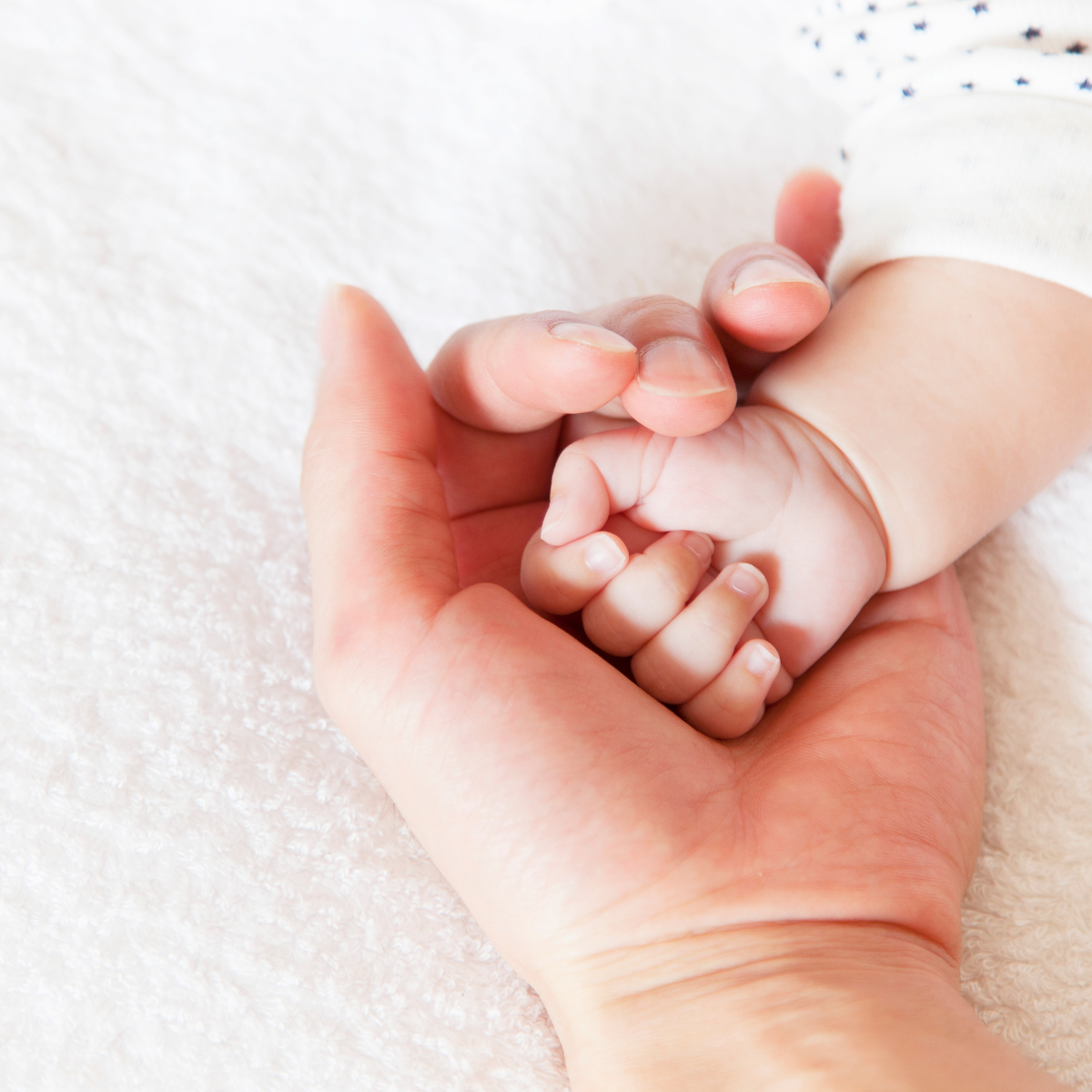 Craft Wealth Services – Private Wealth Management