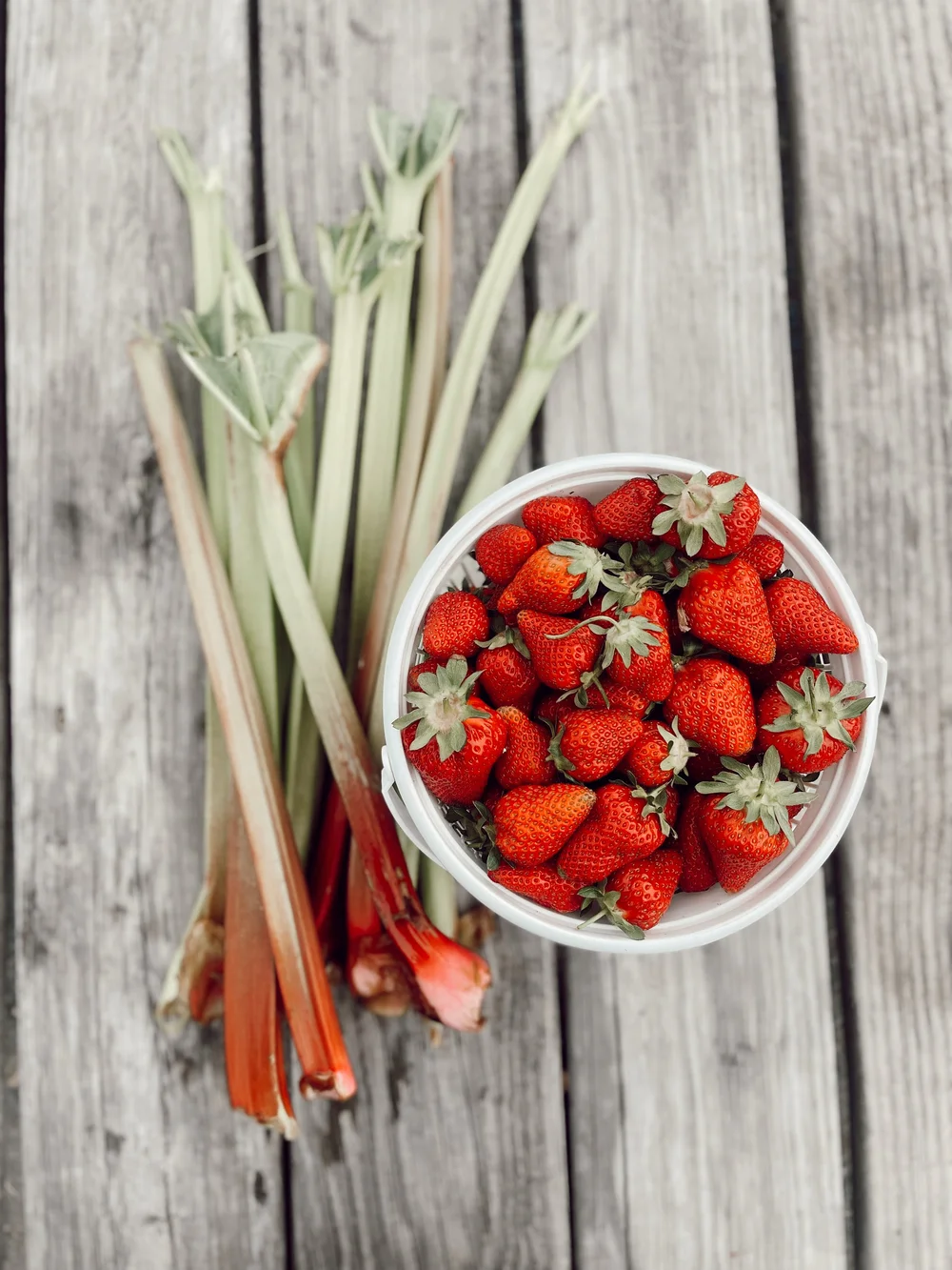 Market Offers — Messick's Farm Market